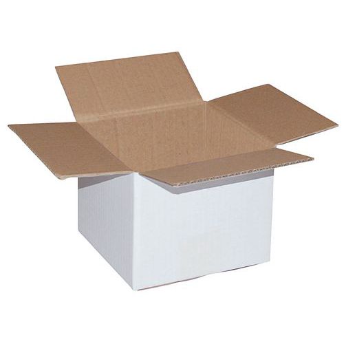 Kartong vit